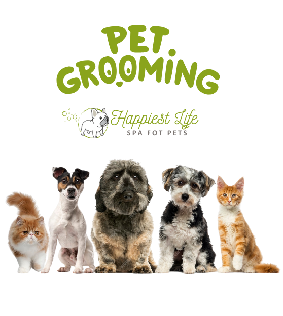 Pet Grooming | Happiest Pet Spa